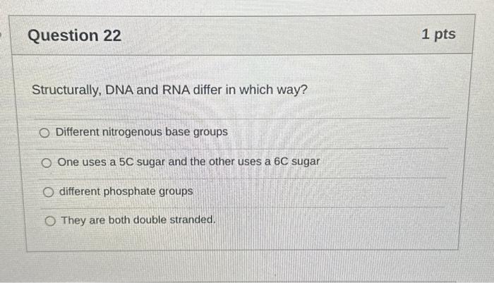Solved Structurally, DNA and RNA differ in which way? | Chegg.com