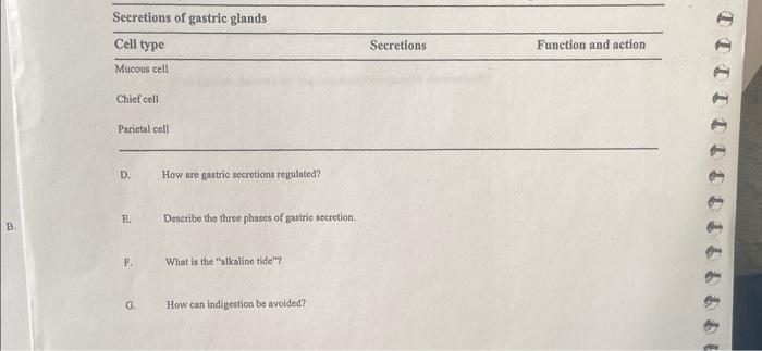Solved Secretions of gastric glands D. How are gastric | Chegg.com