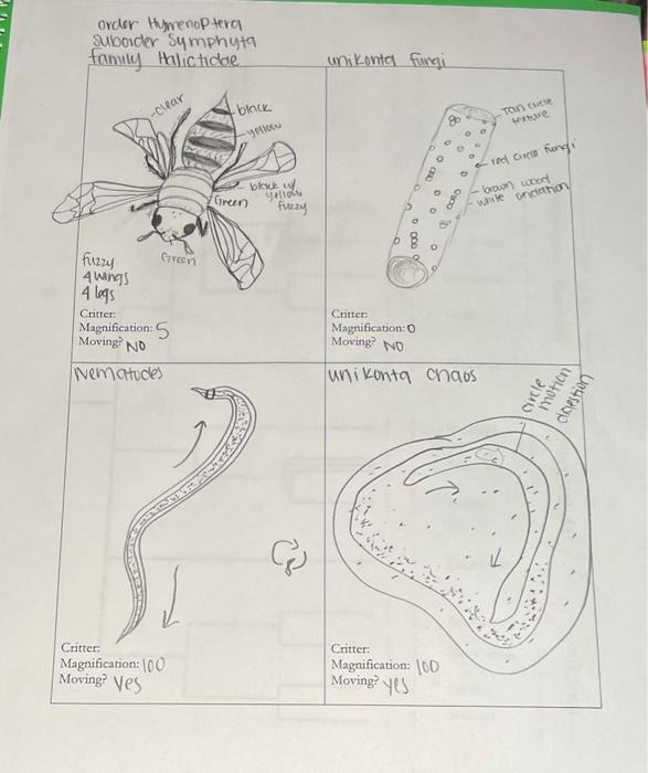 After looking at all the specimens in lab today, | Chegg.com