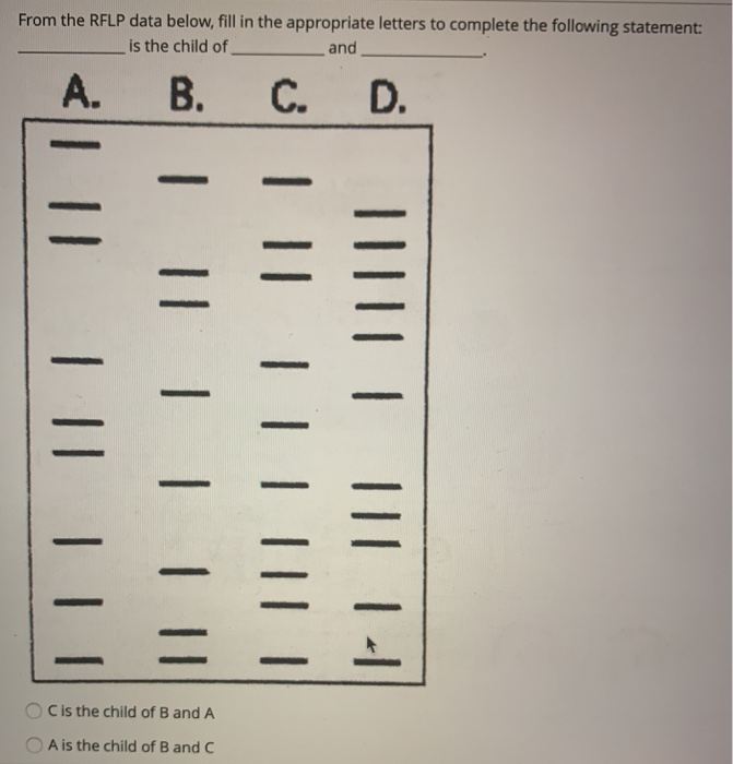 Solved From the RFLP data below, fill in the appropriate | Chegg.com
