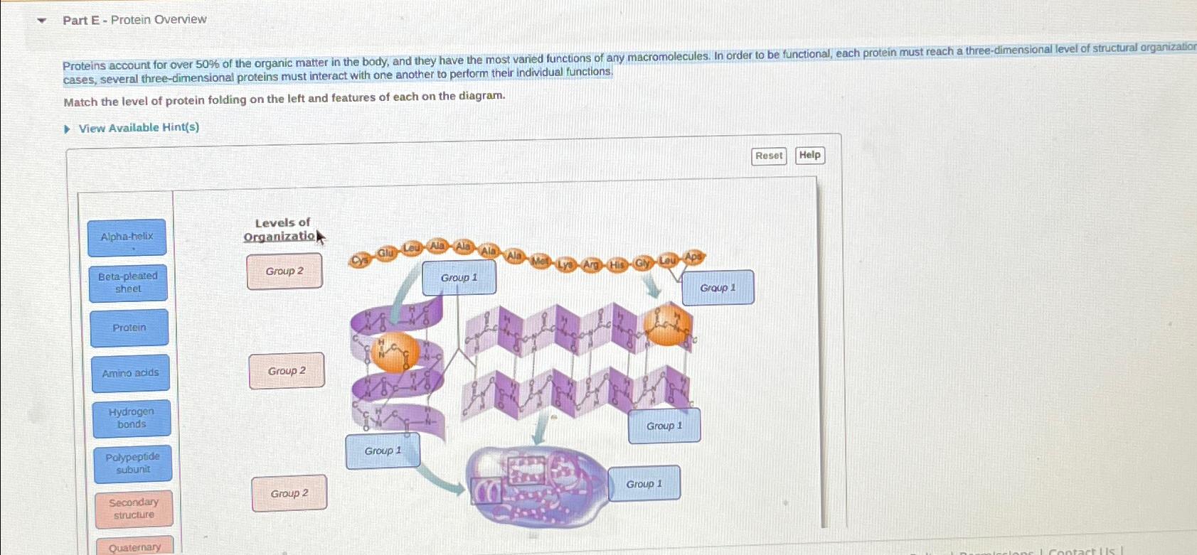 Solved Part E - ﻿Protein Overview cases, several | Chegg.com