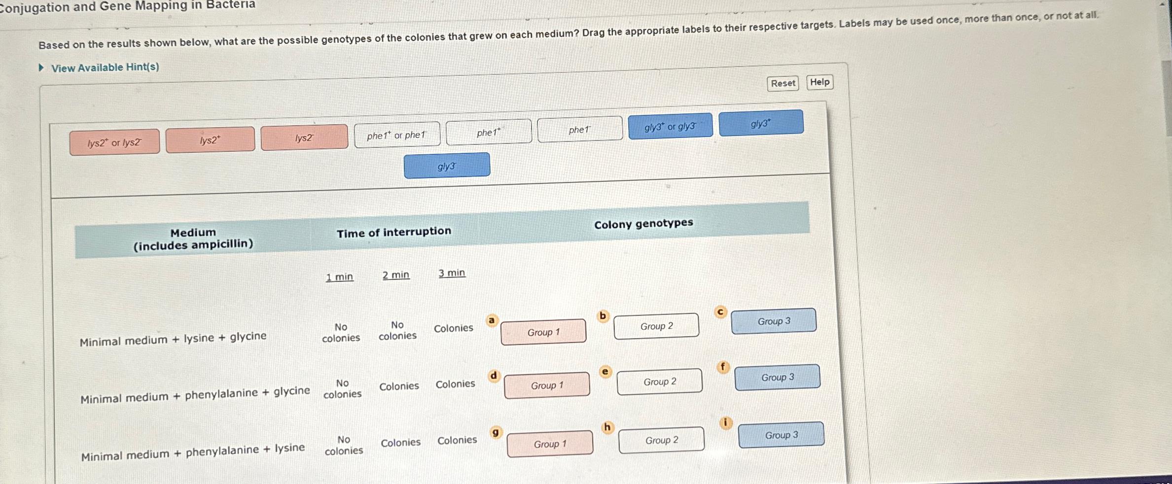 Solved Conjugation and Gene Mapping in BacteriaView | Chegg.com