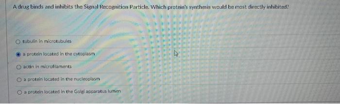 Solved A drug binds and inhibits the Signal Recognition | Chegg.com