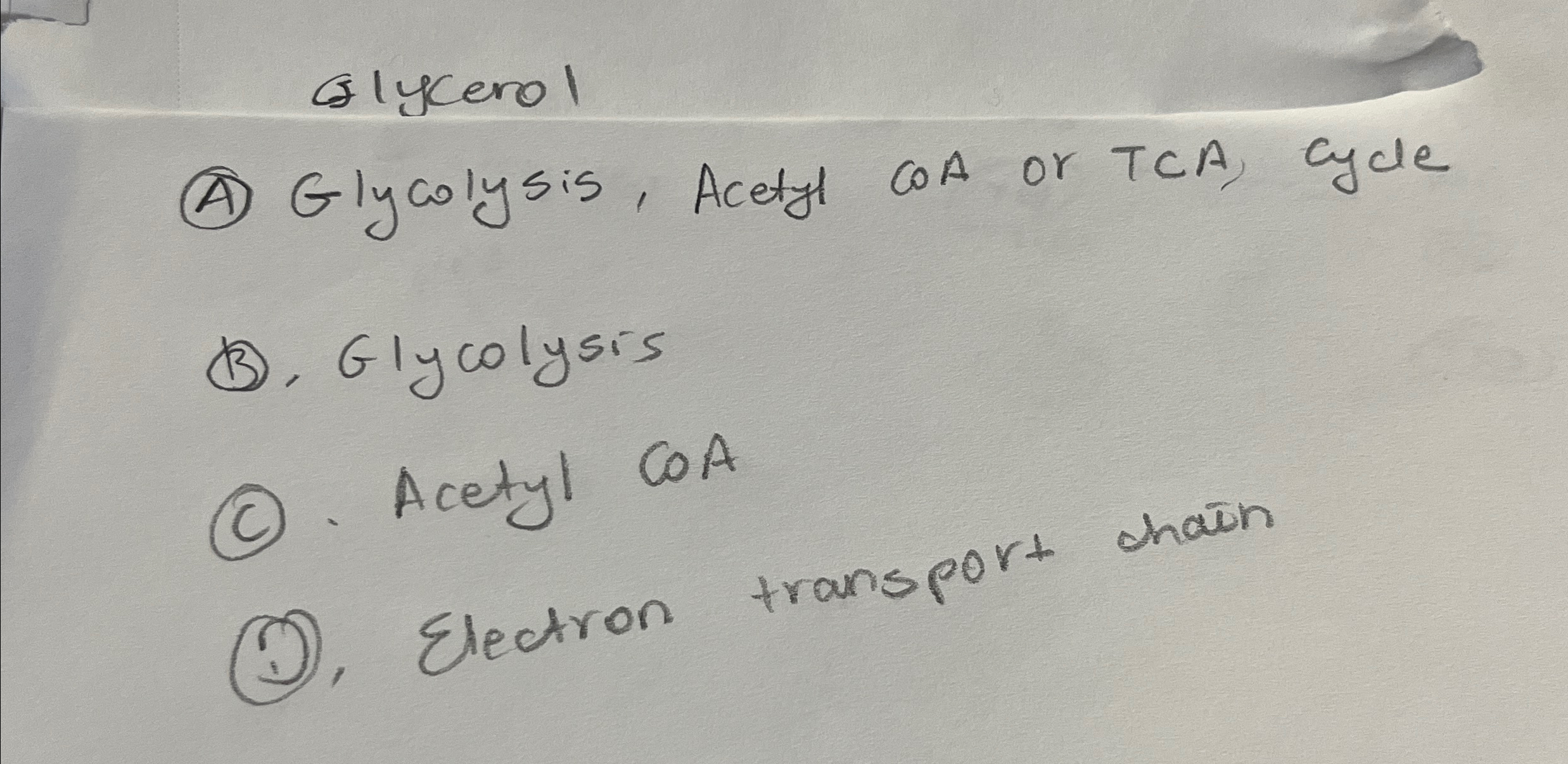 Solved Glycerol(A) ﻿Glycolysis, Acetyl coA or TCA, cycle(3). | Chegg.com
