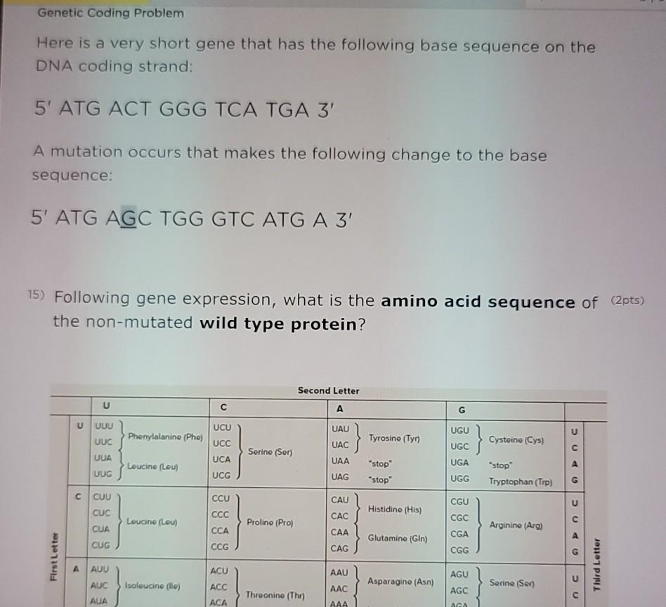 Solved Genetic Coding Problem Here is a very short gene that | Chegg.com
