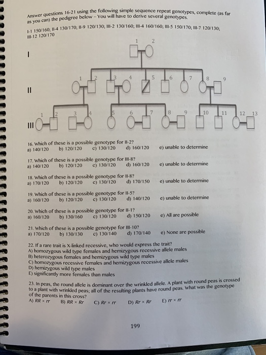 Solved wuestions 16-21 using the following simple sequence | Chegg.com