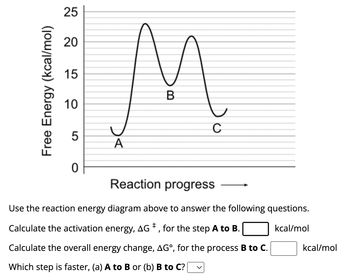 Solved Use the reaction energy diagram above to ﻿answer the | Chegg.com