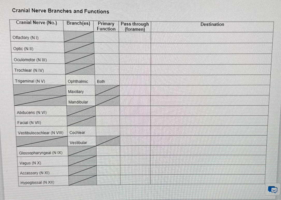 Solved Cranial Nerve Branches and Functions\table[[Cranial | Chegg.com