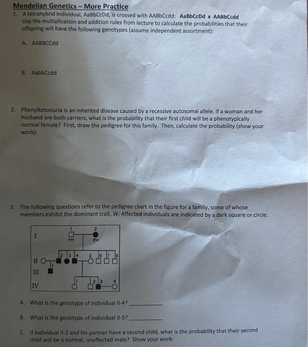 Solved Mendelian Genetics - More Practice 1. A tetrahybrid | Chegg.com