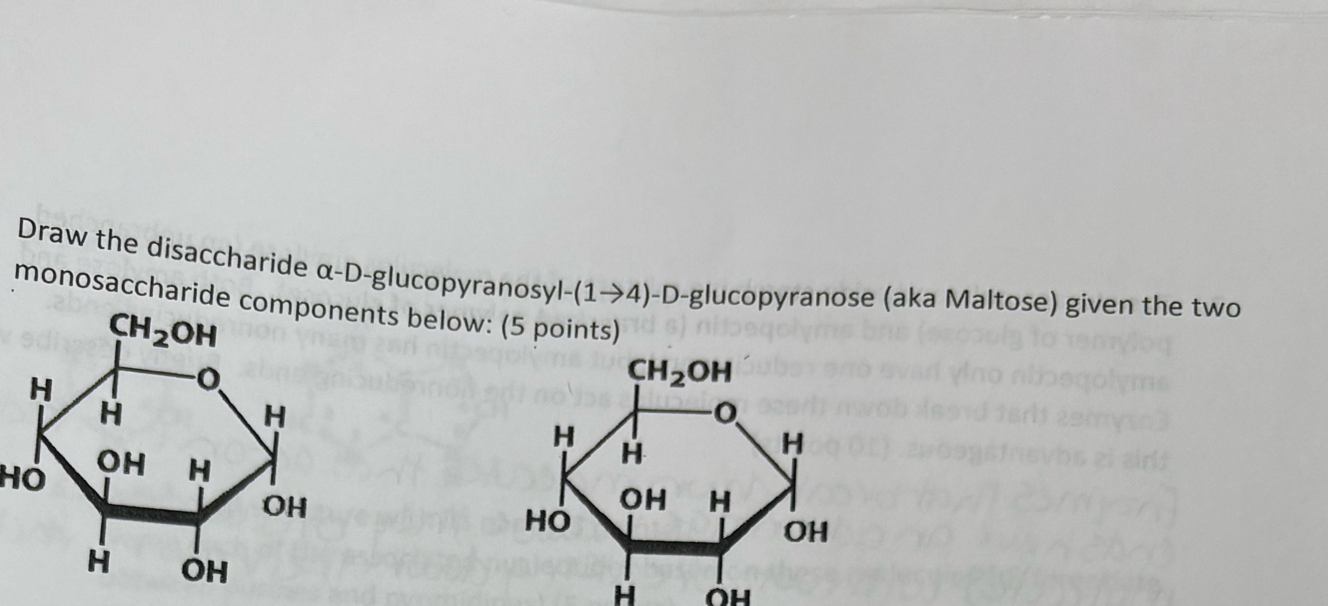 Solved Draw the disaccharide | Chegg.com