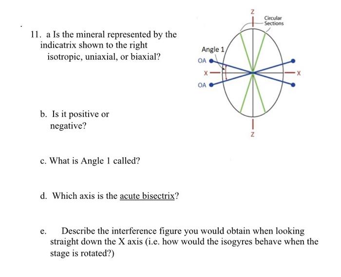 Solved z Circular Sections 11. a Is the mineral represented | Chegg.com