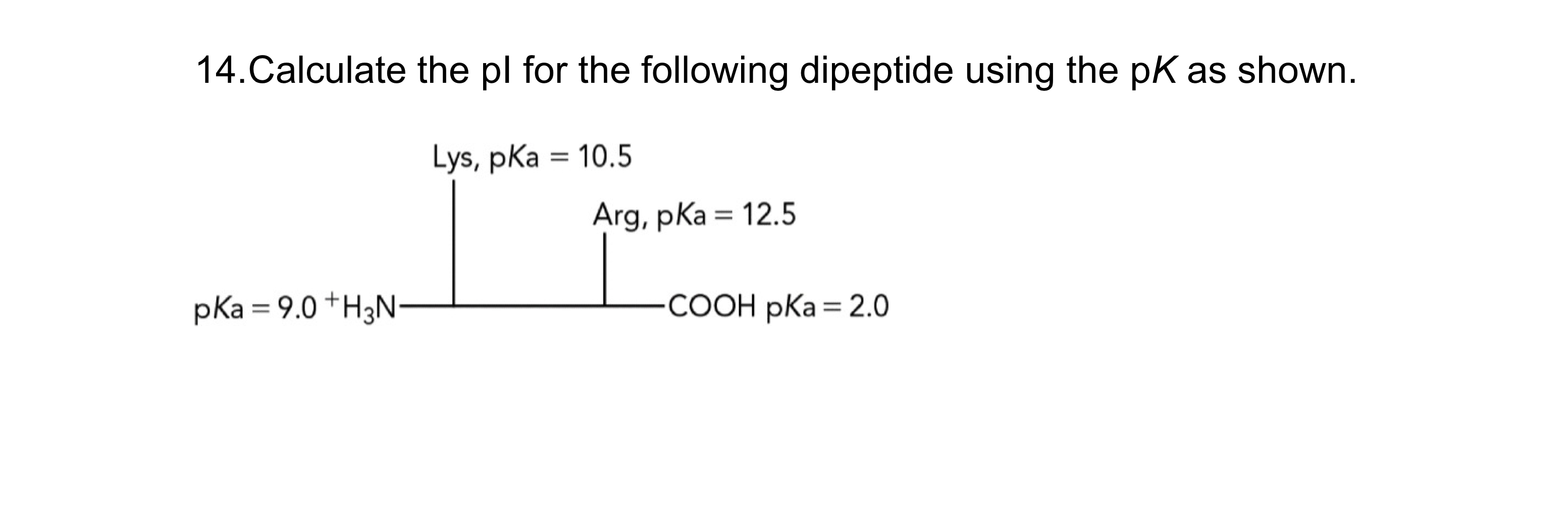 Solved 14.Calculate the pl ﻿for the following dipeptide | Chegg.com