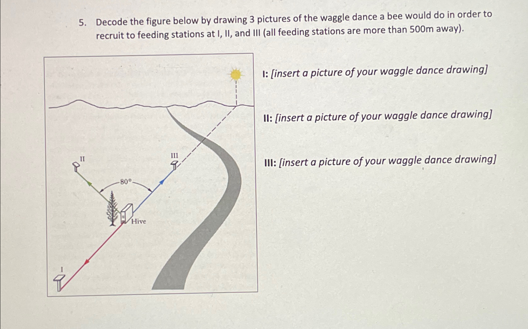 Solved Decode the figure below by drawing 3 ﻿pictures of the | Chegg.com