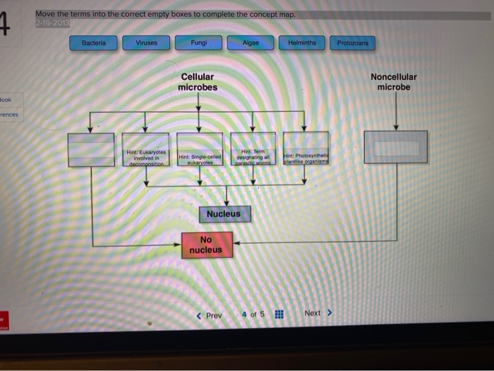 Solved 4 Move the terms into the correct empty boxes to | Chegg.com