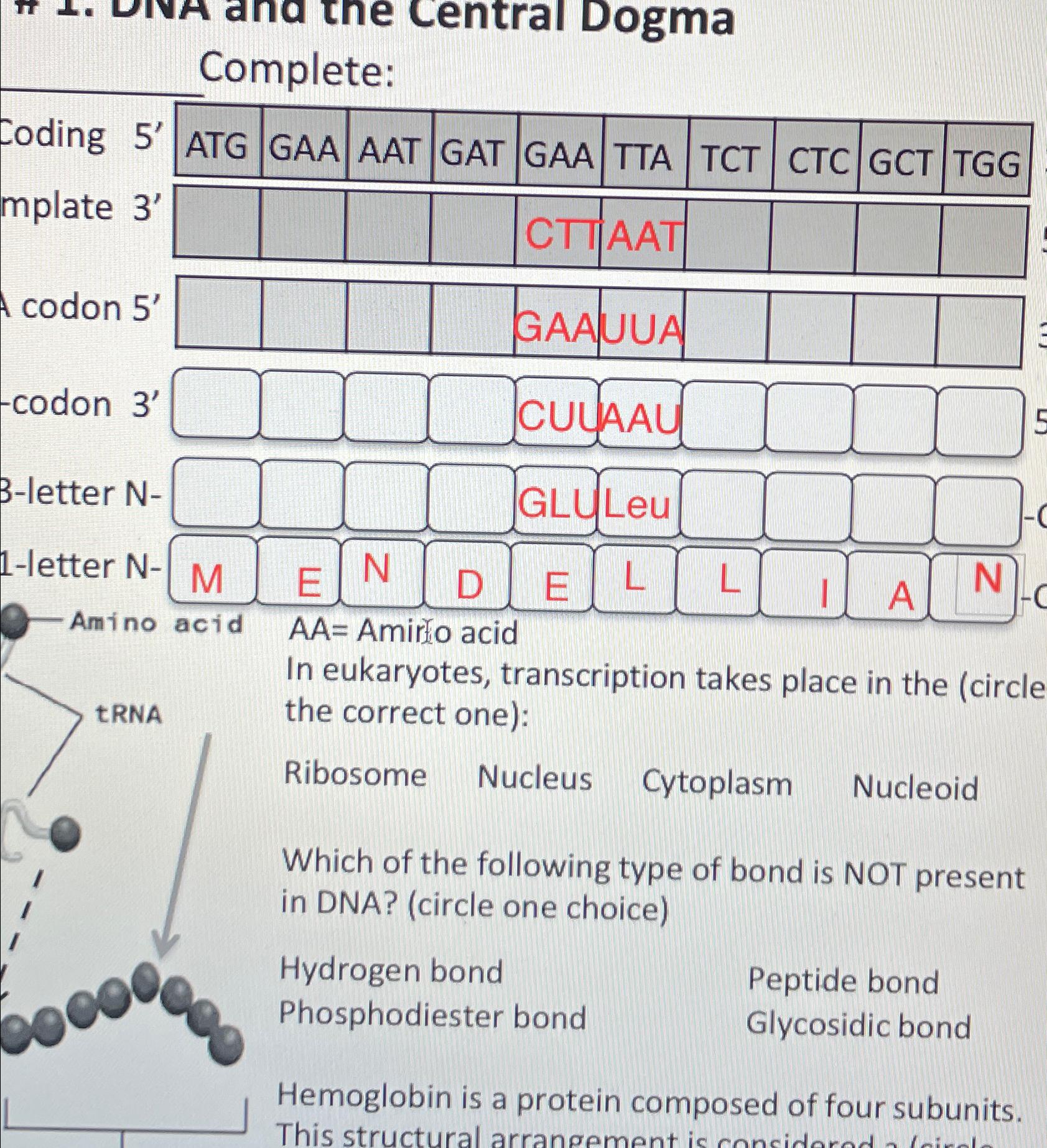 Solved Complete:\table[[Coding | Chegg.com