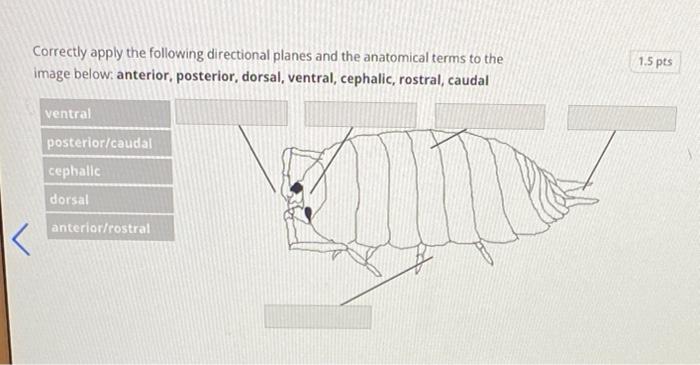 Solved Correctly apply the following directional planes and | Chegg.com