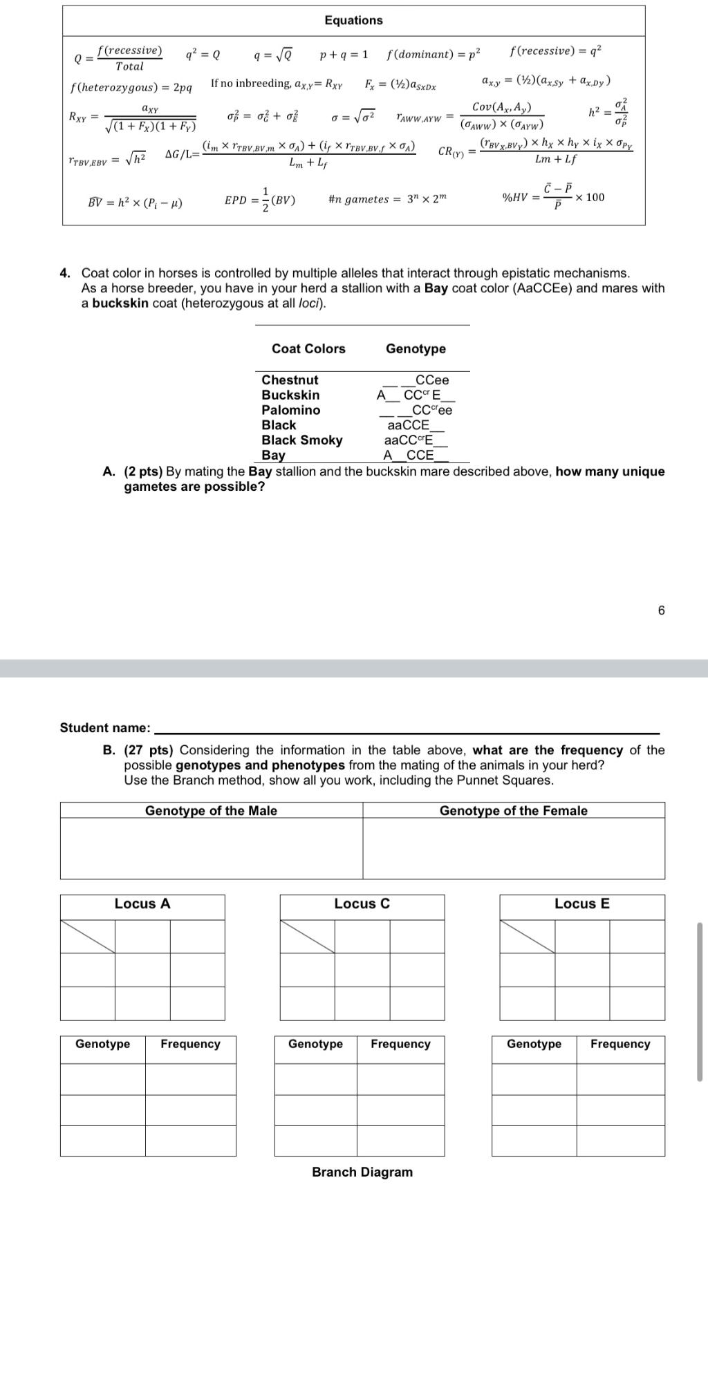 Solved Coat color in horses is controlled by multiple | Chegg.com