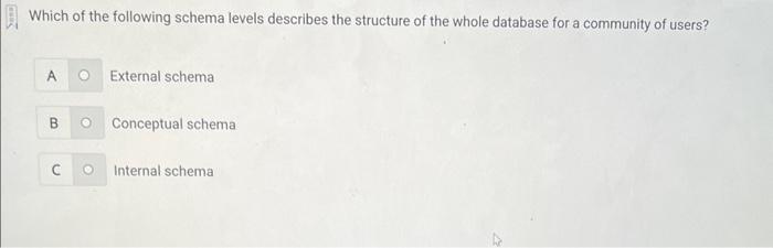 Solved Which of the following schema levels describes the | Chegg.com