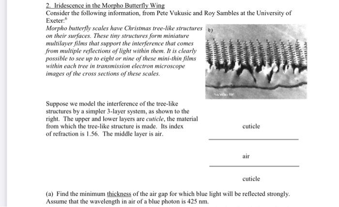 Solved 2. Iridescence in the Morpho Butterfly Wing Consider | Chegg.com