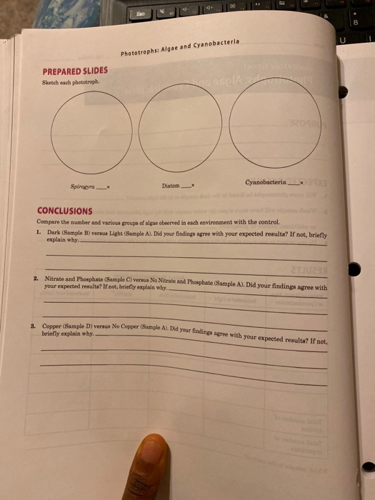 Solved Lab Section: Date: Name LABORATORY REPORT | Chegg.com