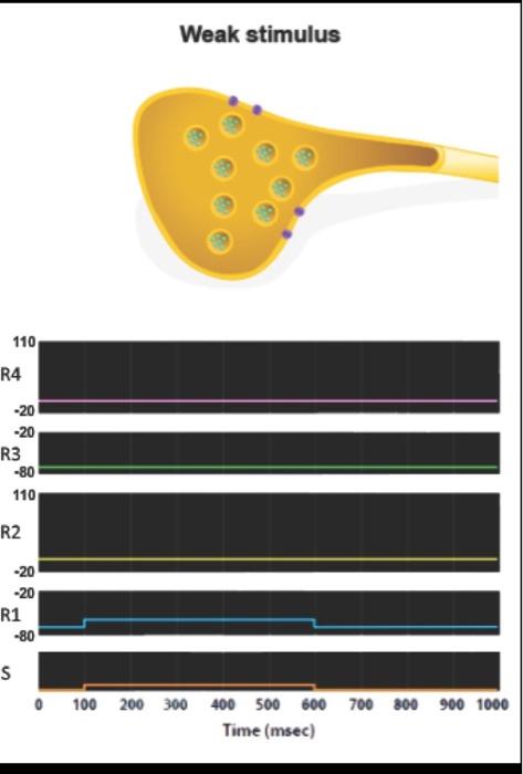 Solved Why was there no response at R2 when you apply a very | Chegg.com
