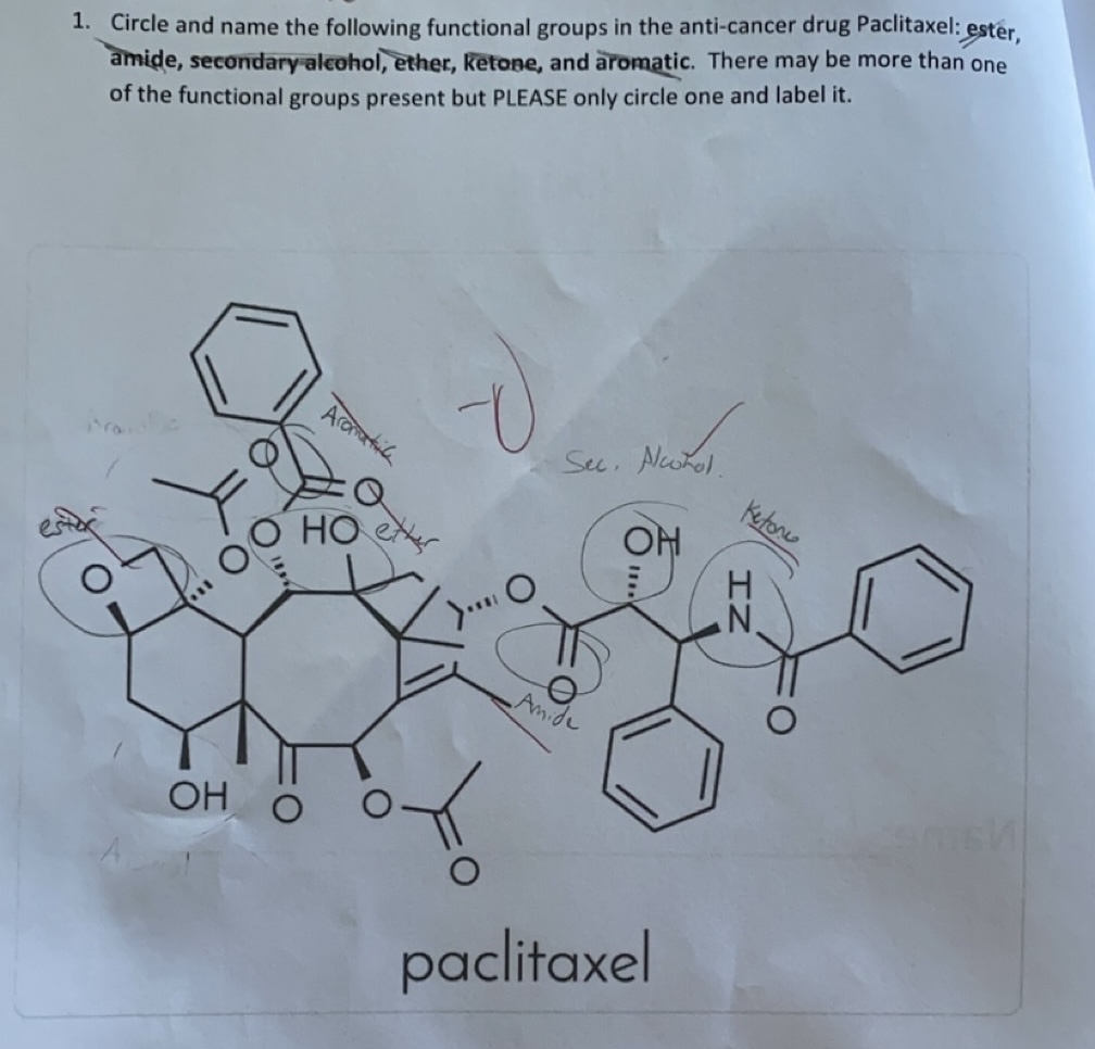 Solved 1.Circle and name the following functional groups in | Chegg.com