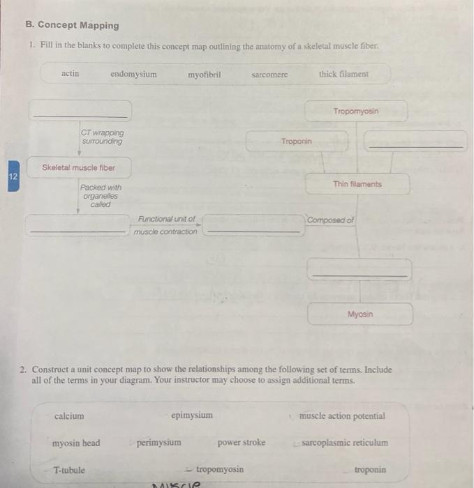 Solved B. Concept Mapping 1. Fill in the blanks to complete | Chegg.com