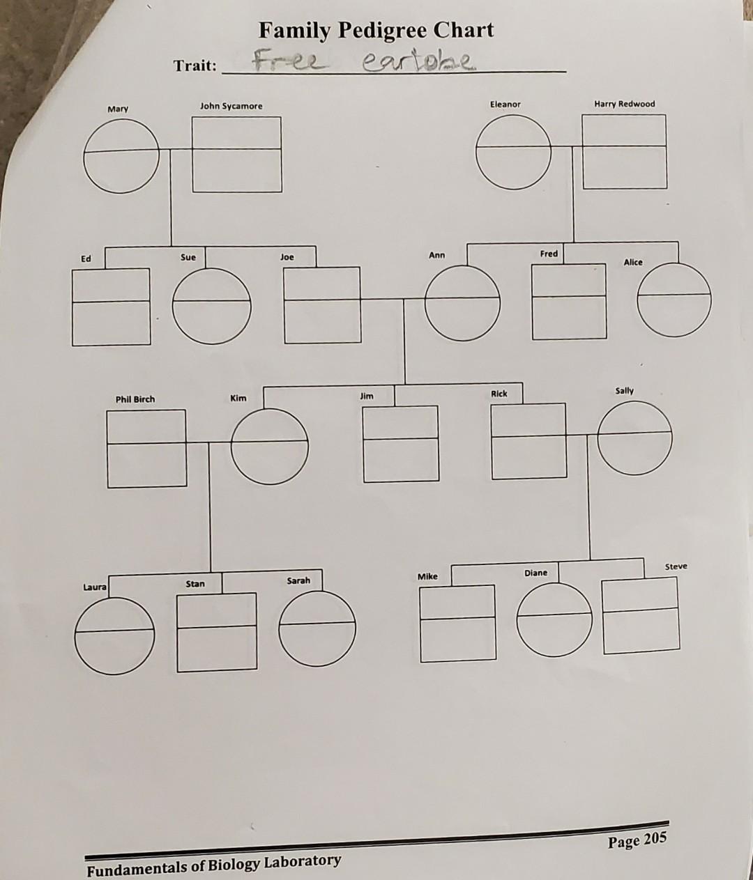 Solved Family Pedigree Chart Trait: Eleanor John Sycamore | Chegg.com