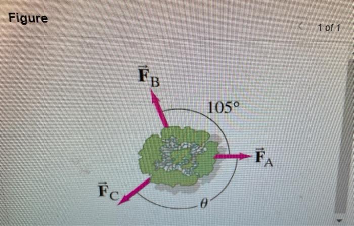 Solved Three forces are applied to a tree sapling, as shown | Chegg.com