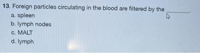 Solved 13. Foreign particles circulating in the blood are | Chegg.com