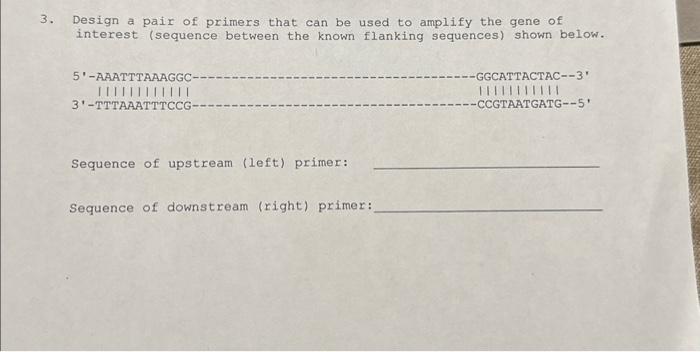 Solved 3. Design a pair of primers that can be used to | Chegg.com