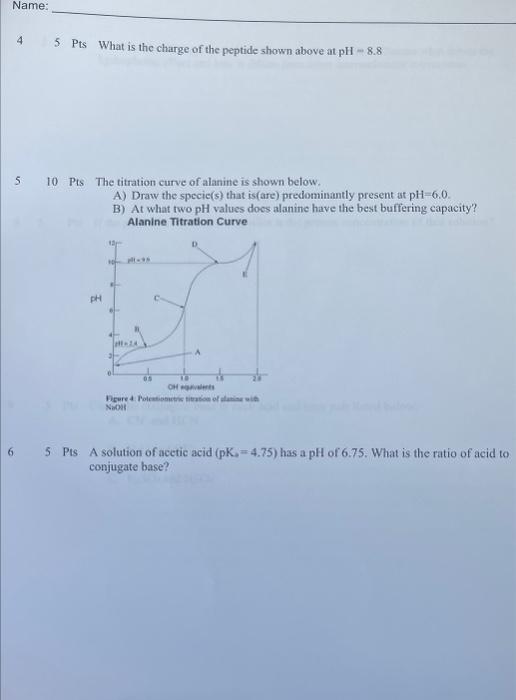 Solved 45 Pts What is the charge of the peptide shown above | Chegg.com