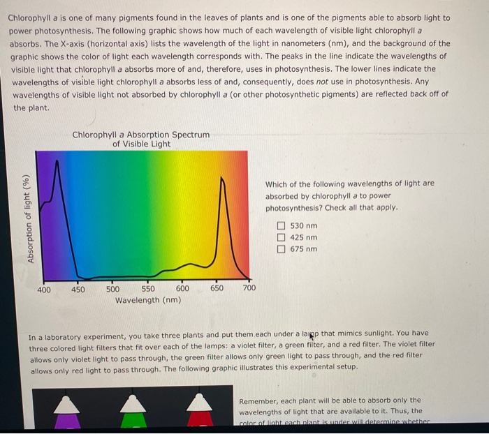 Solved Chlorophylla is one of many pigments found in the | Chegg.com