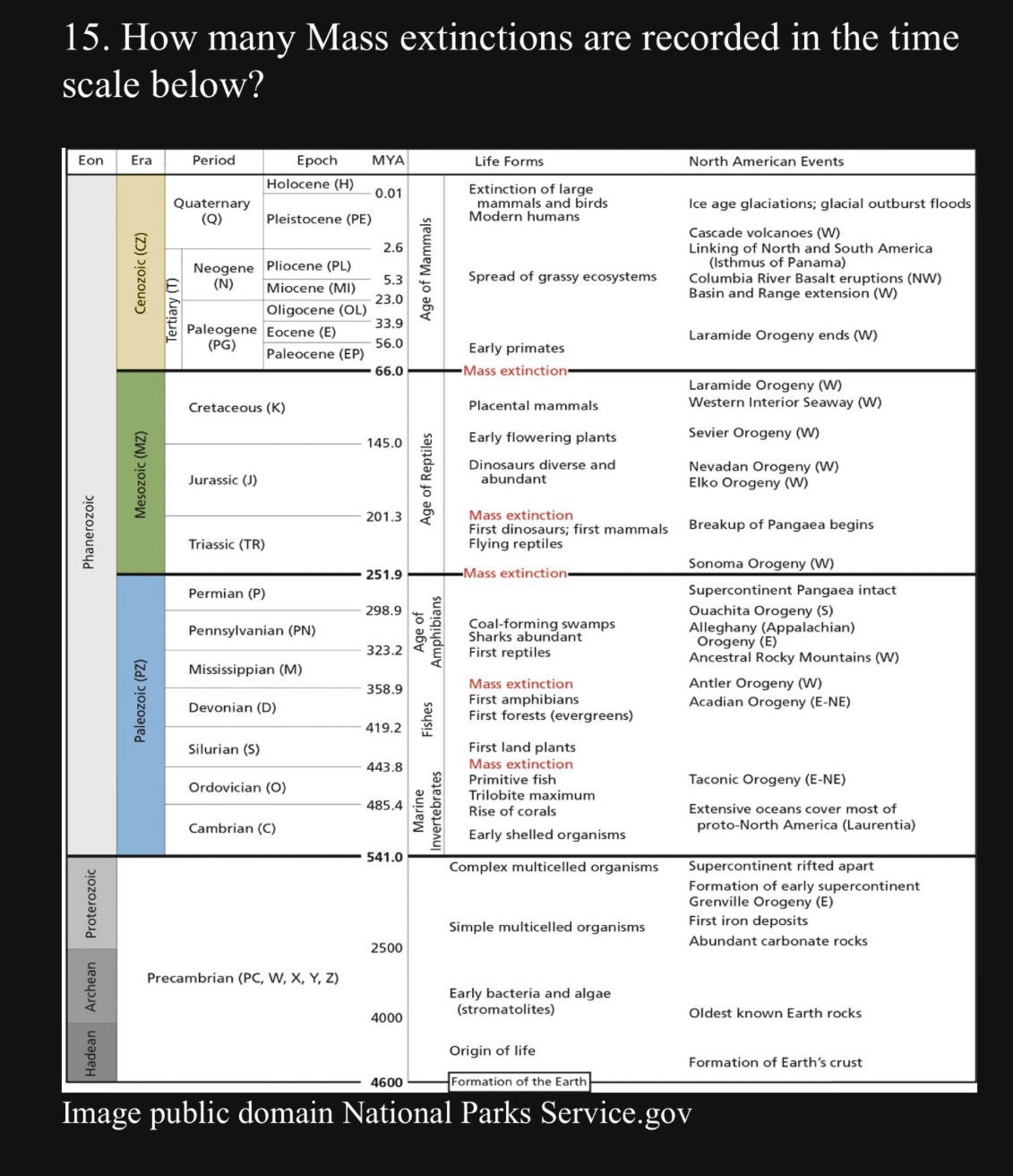 Solved How many Mass extinctions are recorded in the time | Chegg.com