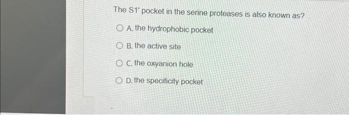 Solved The S1′ pocket in the serine proteases is also known | Chegg.com