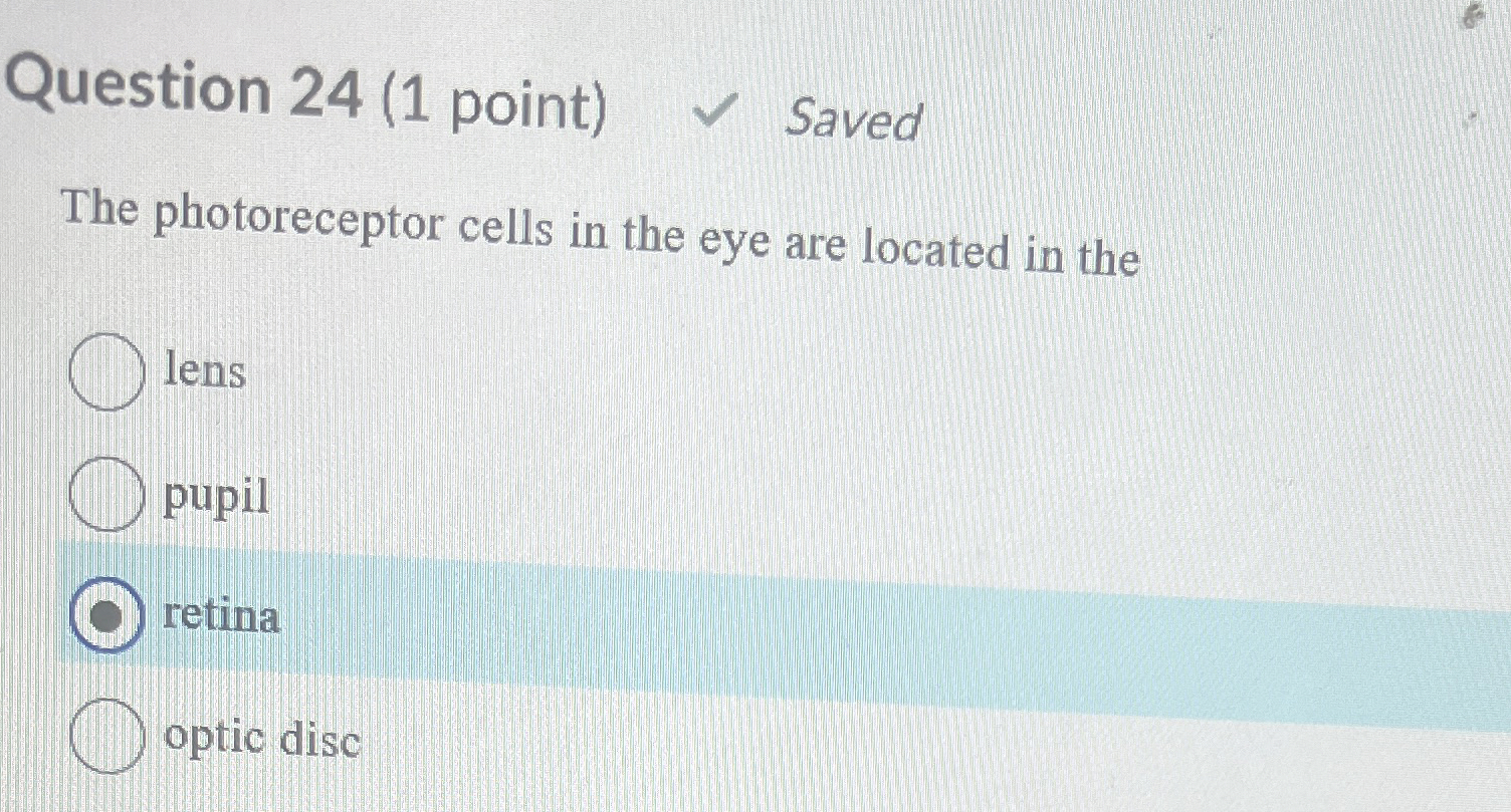 High Quality SOLUTION Question 24 (1 ﻿point) ﻿SavedThe photoreceptor cells | Chegg.com