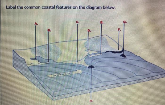 Solved Label the common coastal features on the diagram | Chegg.com