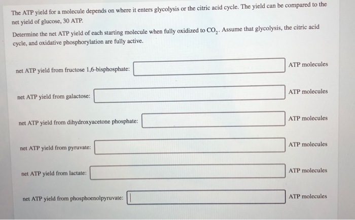 Solved The ATP yield for a molecule depends on where it | Chegg.com