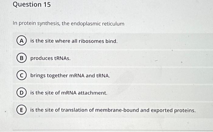 Solved Which of the following is an example of an epigenetic | Chegg.com