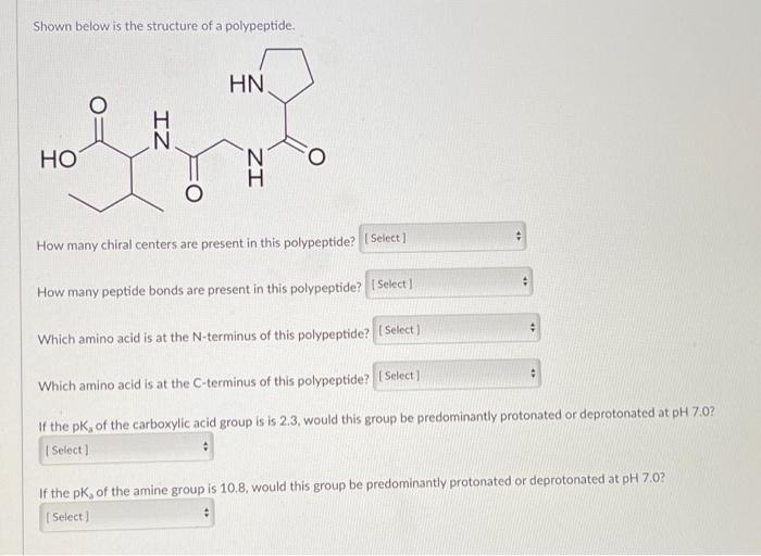 Solved Shown below is the structure of a polypeptide. HO IZ | Chegg.com