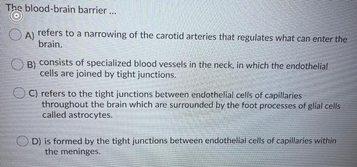 Solved of the vertebrate embryo gives rise to the peripheral | Chegg.com