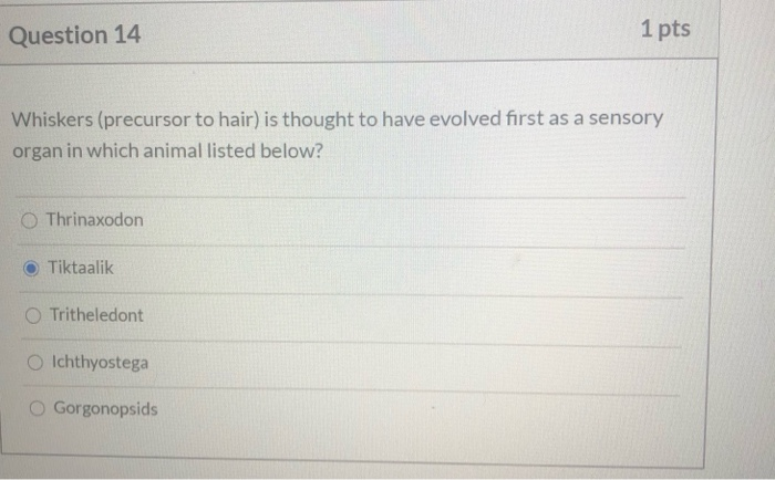 Solved Question 14 1 pts Whiskers (precursor to hair) is | Chegg.com
