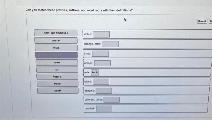 Solved Can you match these prefixes, suffixes, and word | Chegg.com