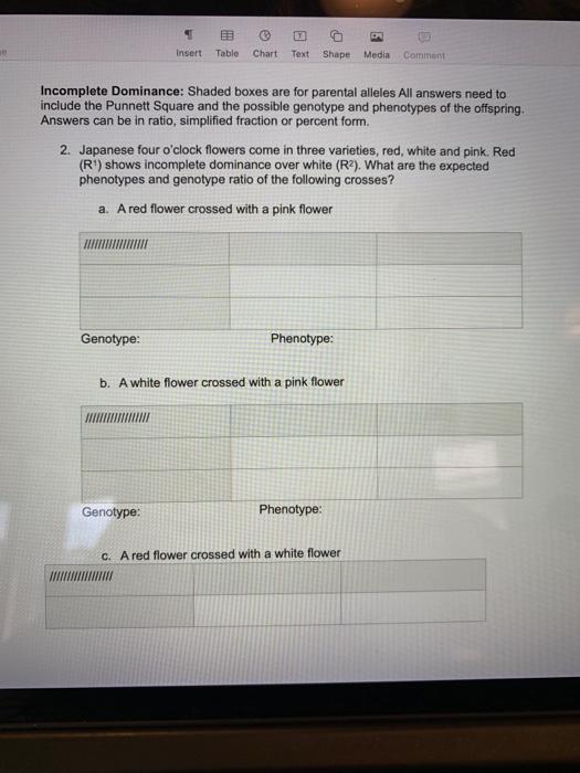 Solved m Add Page Insert Table Chart Text Shape Media | Chegg.com