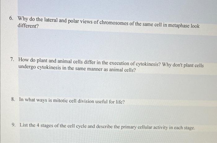 Solved HOMEWORK MITOSIS LAB 1. Attach drawings of all 5 | Chegg.com