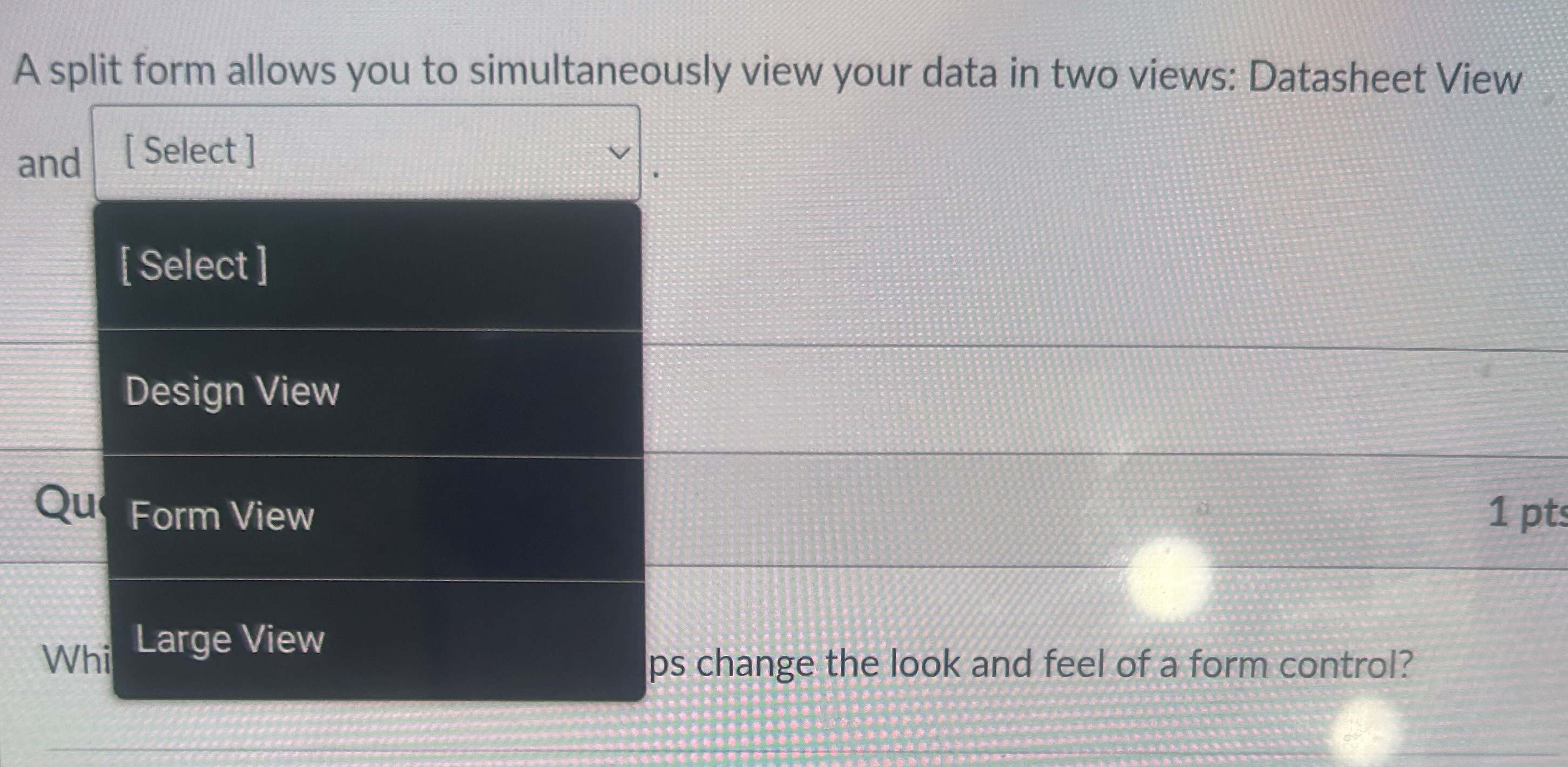 Solved A split form allows you to simultaneously view your | Chegg.com