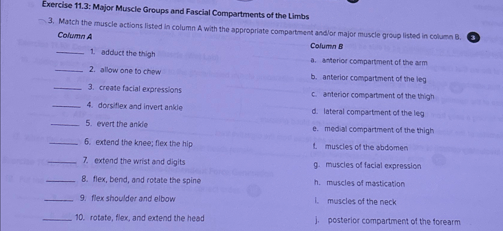 Solved Exercise 11.3: Major Muscle Groups and Fascial | Chegg.com