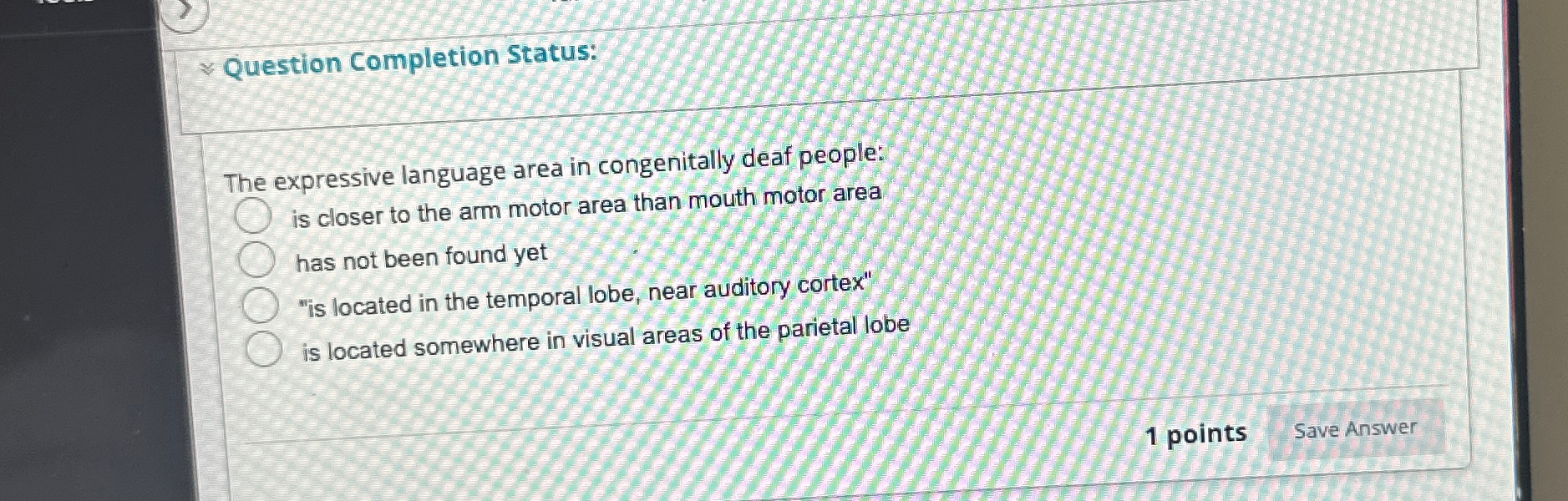 Solved Question Completion Status:The expressive language | Chegg.com