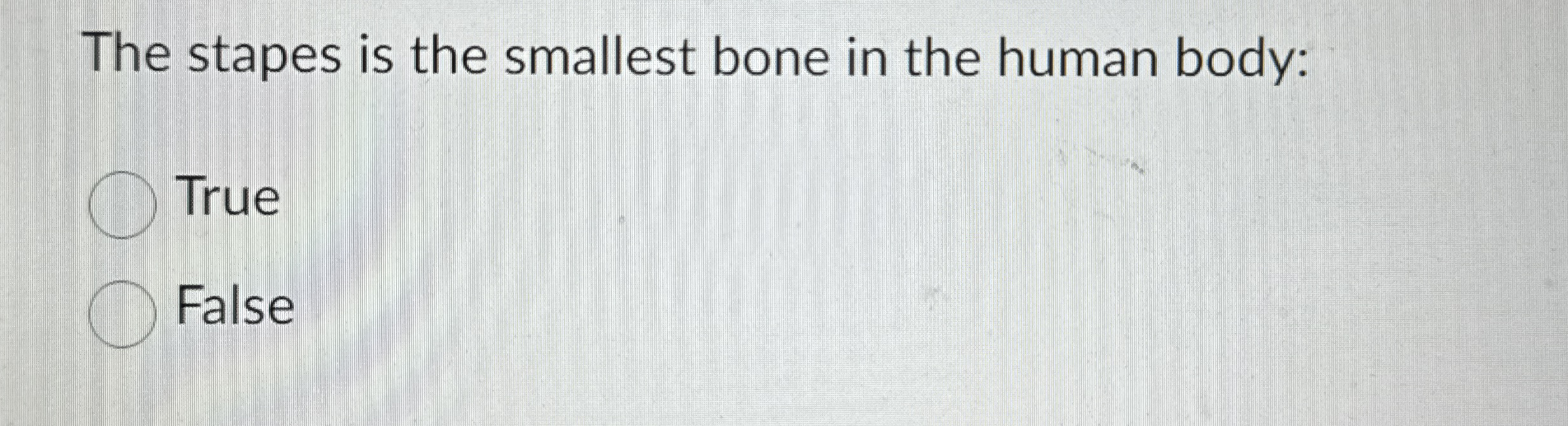 The stapes is the smallest bone in the human | Chegg.com