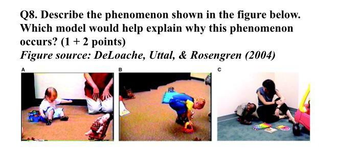 Q8. Describe the phenomenon shown in the figure | Chegg.com